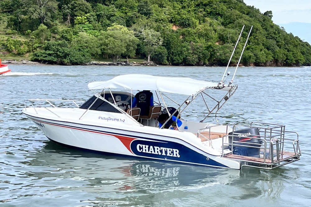 Phi Phi Island by speed boat 1 engines